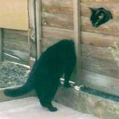 Funny Right angle Photos – Wonderfulinfo